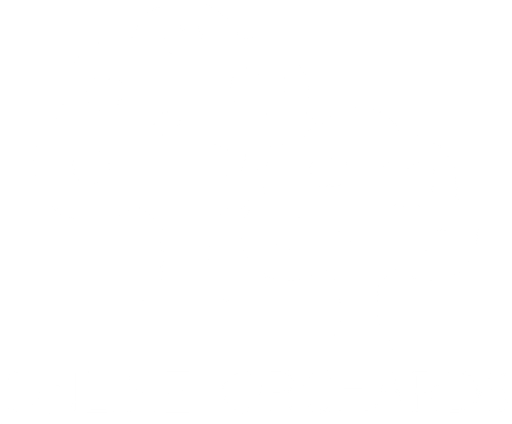 Van Cherry Tree - Among the heaviest producers of sweet cherries! (2 y ...