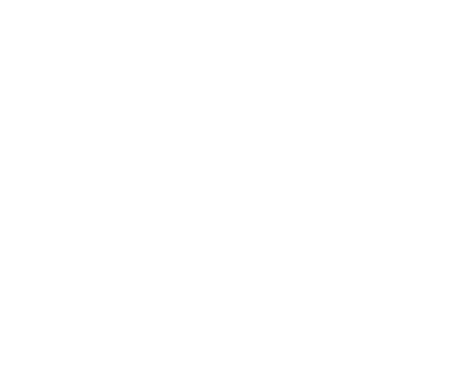 Van Cherry Tree - Among the heaviest producers of sweet cherries! (2 y ...