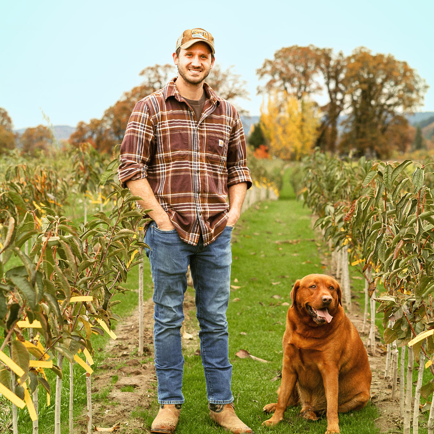 PLANT & TREE CARE – Online Orchards
