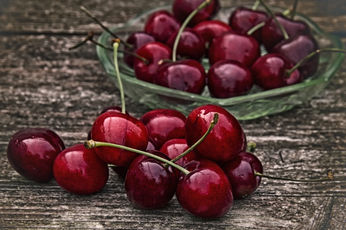Dwarf Bing Cherry Tree - Grow the worlds favorite sweet cherry, right ...