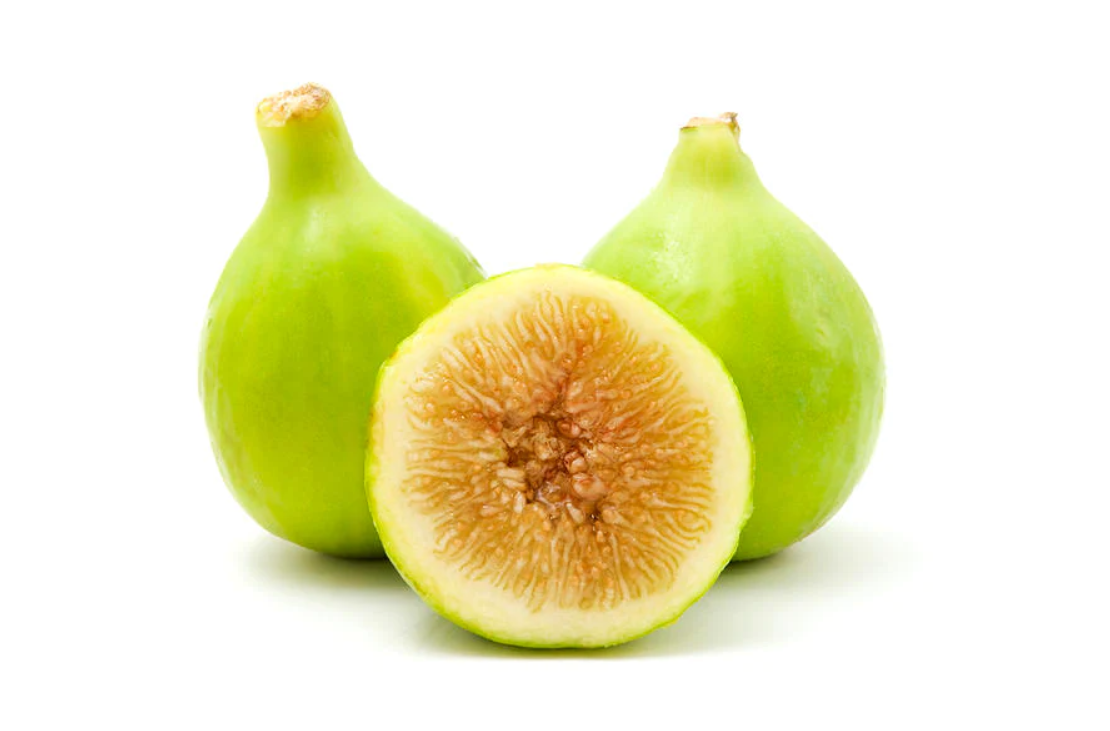 1 gal Italian Honey Fig Tree - Self pollinating, exquisite fresh off t ...